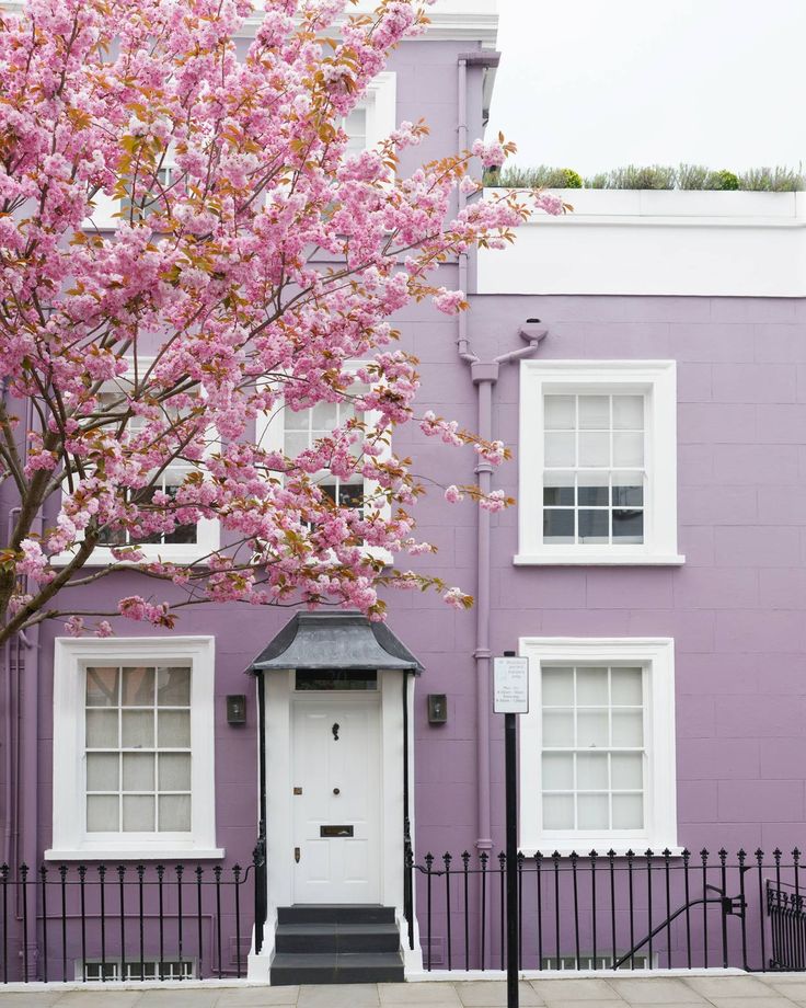 Exploring Bold Stucco Color Choice
